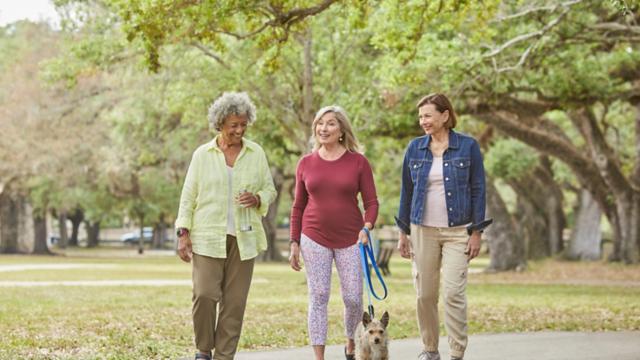 Member Resources for Group Health Medicare Plans | Humana