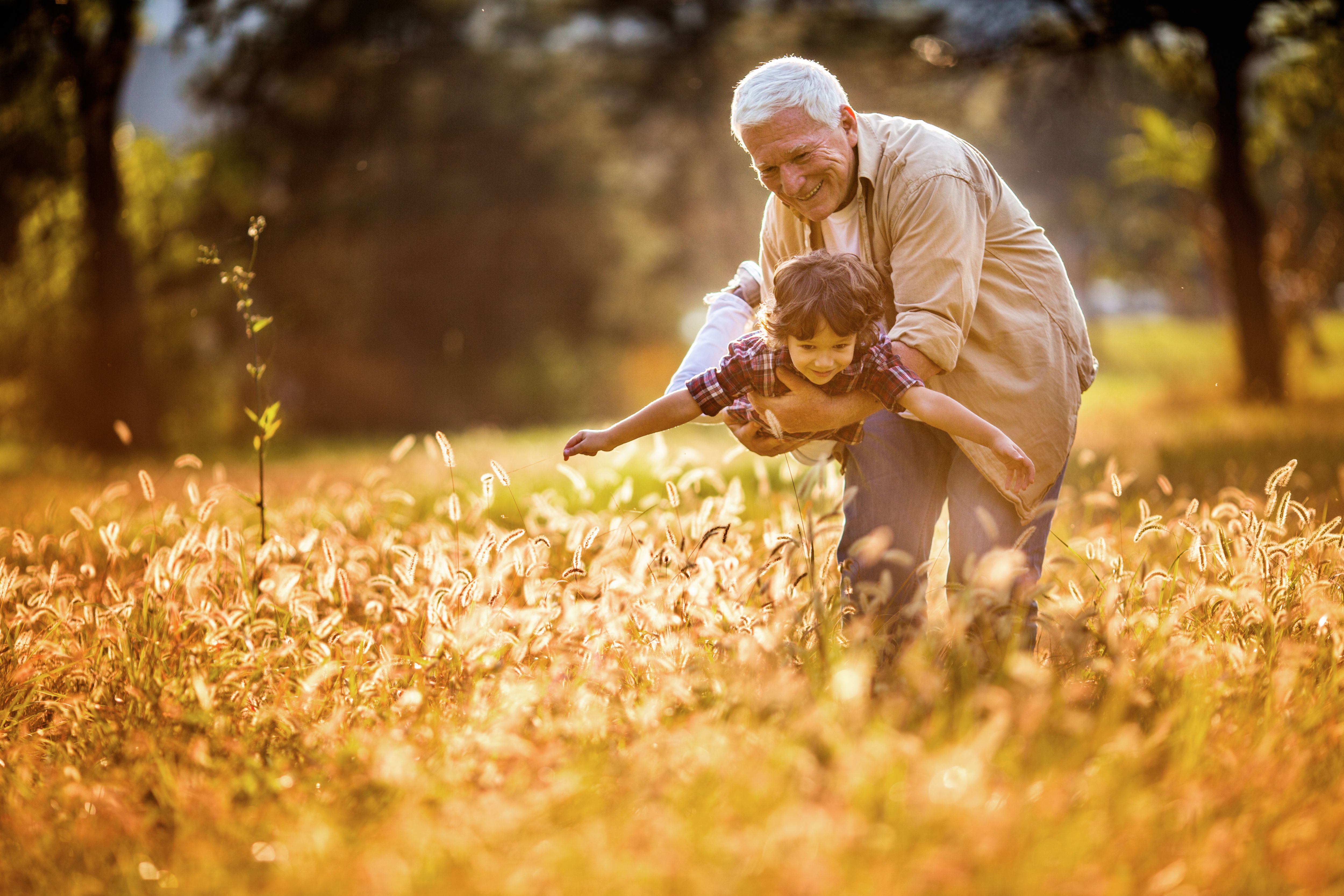 Humana Dual Fully Integrated (HMO D-SNP) in Illinois